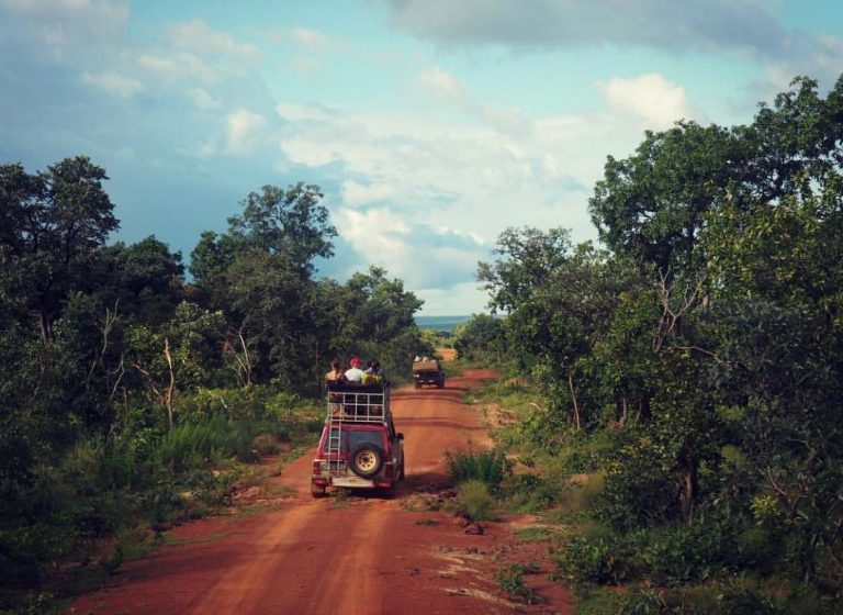 Mole National Park; Ghana’s first and largest protected area - Akorfa Akoto